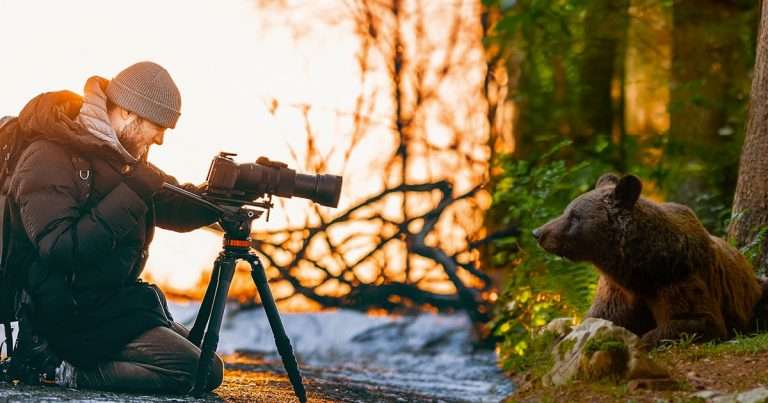 The Secrets to Capturing Stunning Wildlife Footage in Documentaries