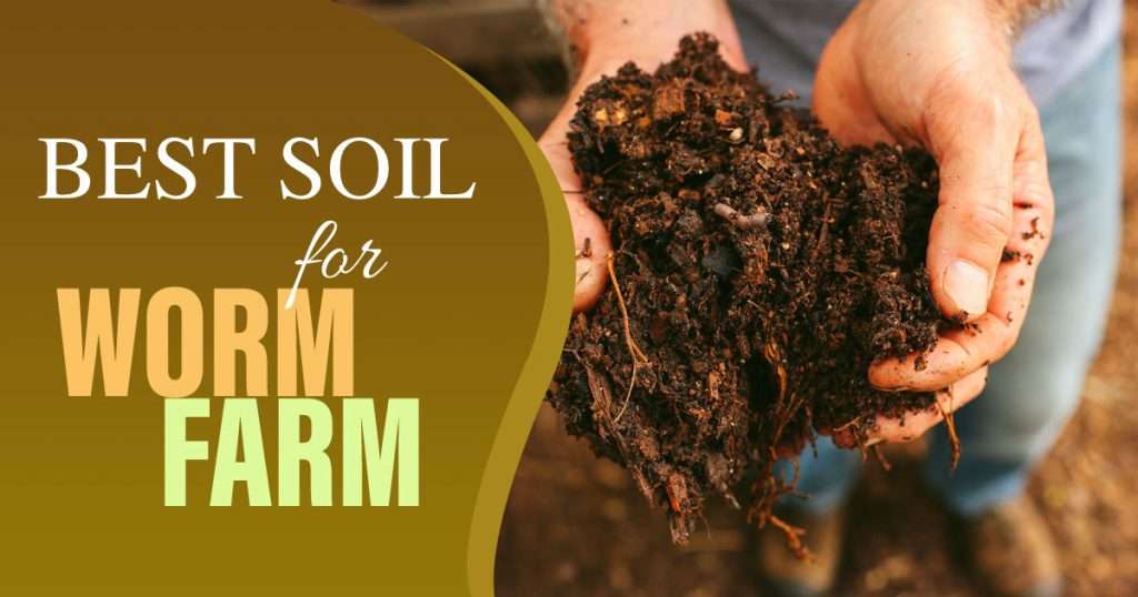 Choosing the Right Soil and Bedding for Your Worm Farm