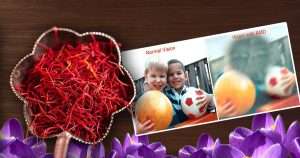 Saffron for Macular Degeneration: How Much Should I Take?